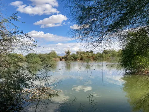 Best Hikes and Trails in Gilbert Riparian Preserve | AllTrails