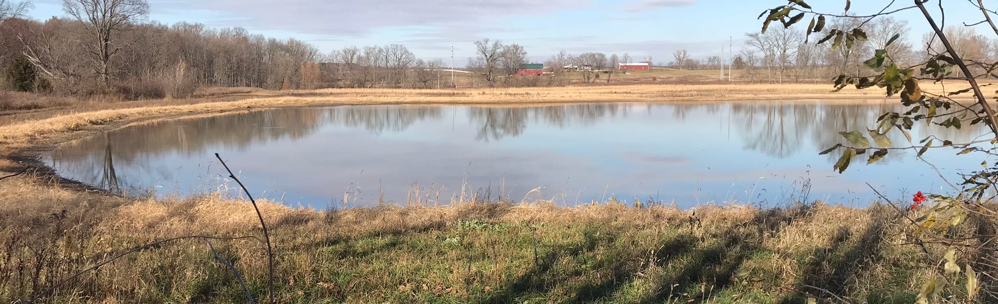 Sharon Mills River Trail: 33 Reviews, Map - Michigan | AllTrails