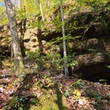 Sipsey Wilderness Loop, Alabama - 50 Reviews, Map | AllTrails