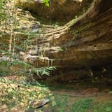 Sipsey Wilderness Loop, Alabama - 50 Reviews, Map | AllTrails