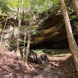 Sipsey Wilderness Loop, Alabama - 50 Reviews, Map | AllTrails