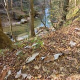 Sipsey Wilderness Loop, Alabama - 50 Reviews, Map | AllTrails