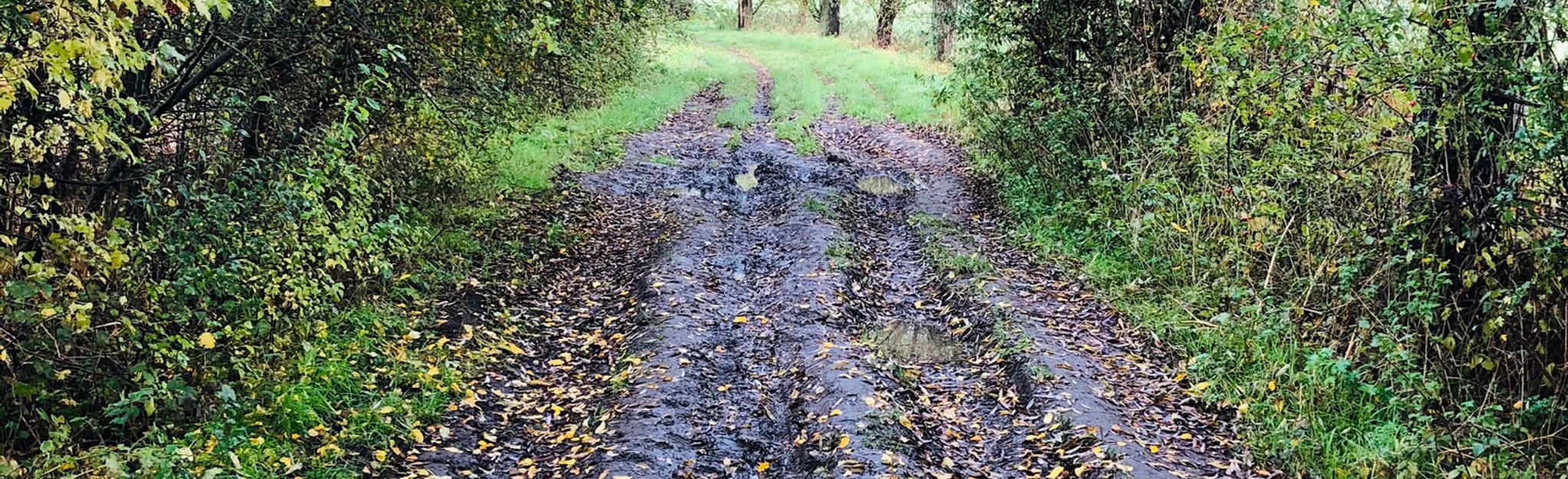 Kontich-Kazerne Wandeling: 3 Fotos - Antwerpen, Belgien | AllTrails