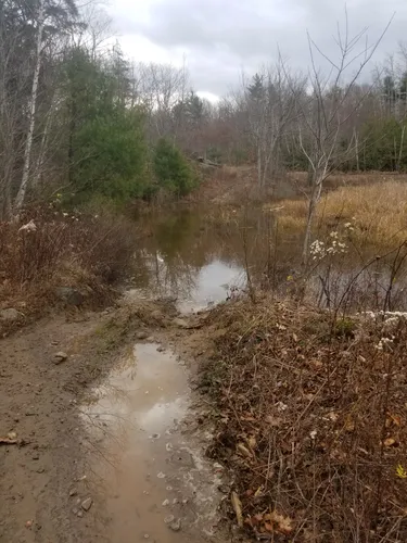 10 Best Trails and Hikes in Parry Sound | AllTrails