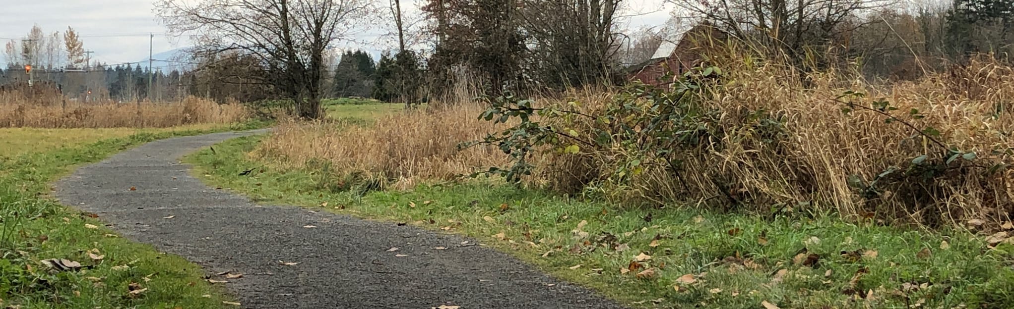 Campbell Valley Park Perimeter Trail - British Columbia, Canada | AllTrails