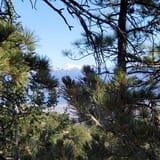 Stultz Trail, Colorado - 121 Reviews, Map | AllTrails