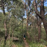 The Spit to Balmoral Beach via Chinamans Beach, New South Wales ...
