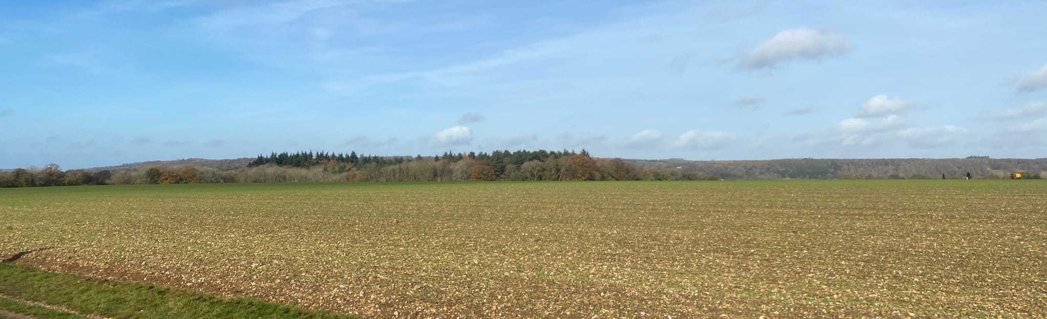 Sulham Woods Walk via Long Lane: 11 Reviews, Map - Berkshire, England ...