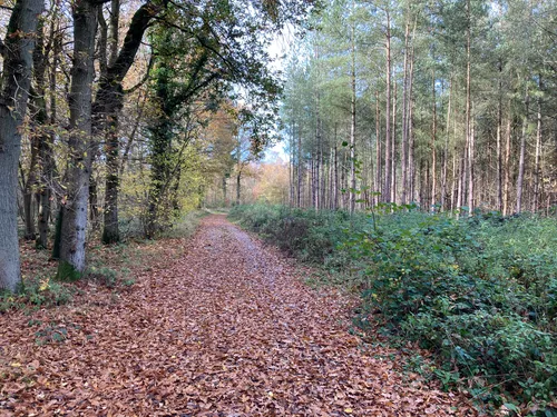 10 Best Trails and Hikes in Reading | AllTrails