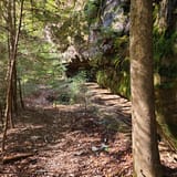 Sipsey Wilderness Loop, Alabama - 57 Reviews, Map | AllTrails