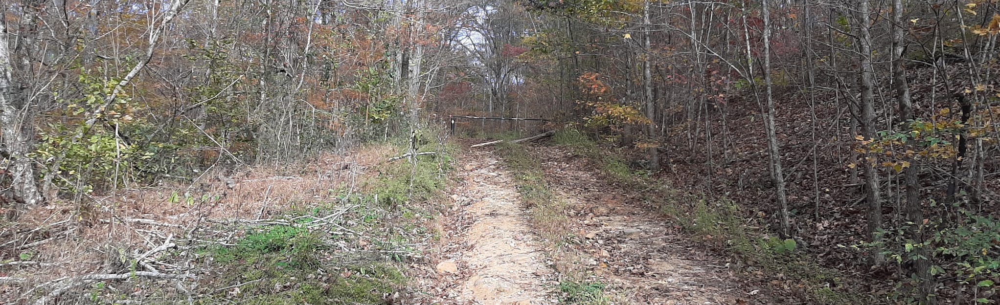 Pinhoti Trail: GA 100 to Dug Gap Mountain Road | Map, Guide - Georgia ...