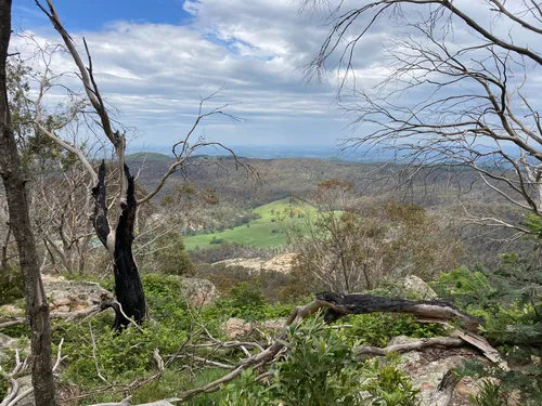 10 Best Hikes and Trails in Mount Canobolas State Conservation Area ...