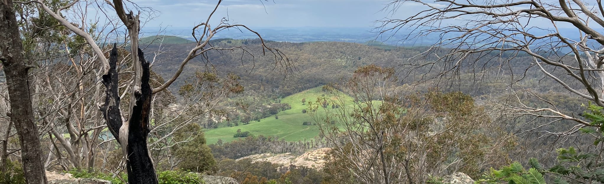 Snow Gum Track to Young Man Canobolas via The Walls Lookout, New South ...