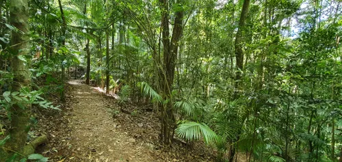 10 Best Walking Trails in Mount Glorious | AllTrails