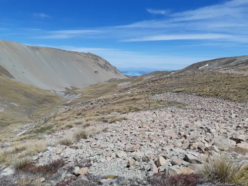 Best Hikes and Trails in Peel Forest | AllTrails