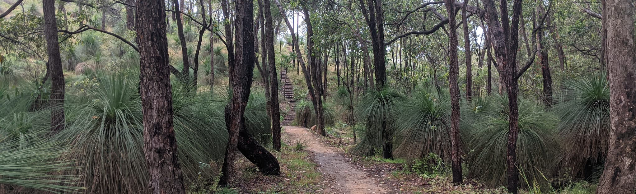 Djidi Djidi Ridge Trail: 22 Reviews, Map - Western Australia, Australia ...