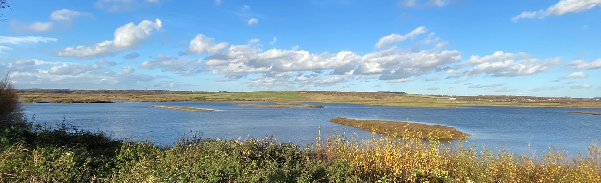 Methley Circular, West Yorkshire, England - 118 Reviews, Map | AllTrails