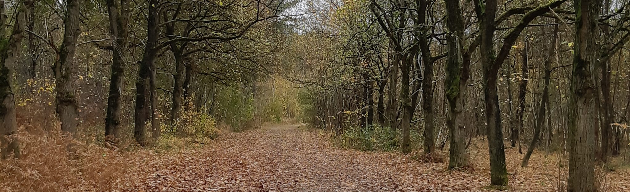 Stambruges Loop via Mer de Sable: 14 Reviews, Map - Hainaut, Belgium ...