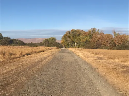 Best Hikes and Trails in O'Neill Forebay Wildlife Area | AllTrails