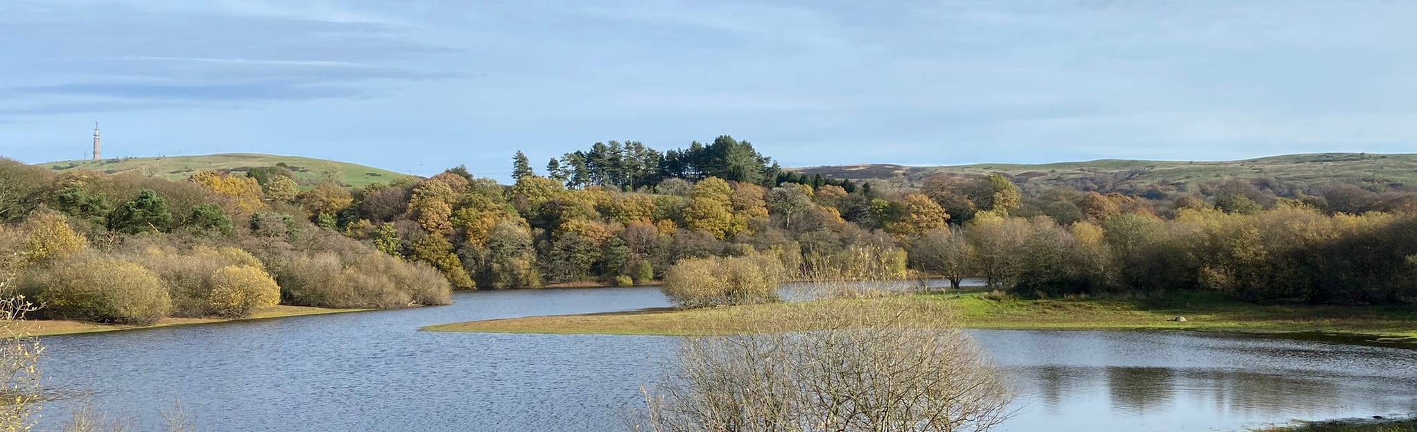 Bosley Reservoir Circular: 41 Reviews, Map - Cheshire, England | AllTrails