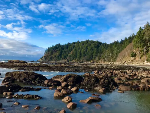 Best Hikes and Trails in La Push | AllTrails
