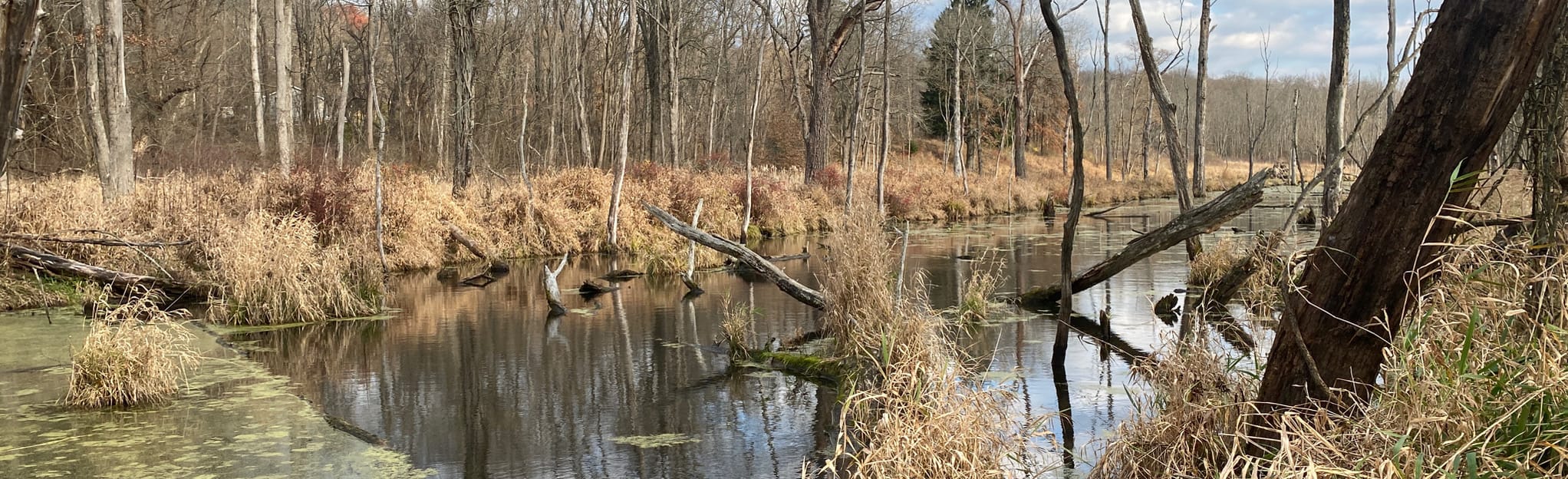 Shenango and Towpath Trails: 123 Reviews, Map - Pennsylvania | AllTrails