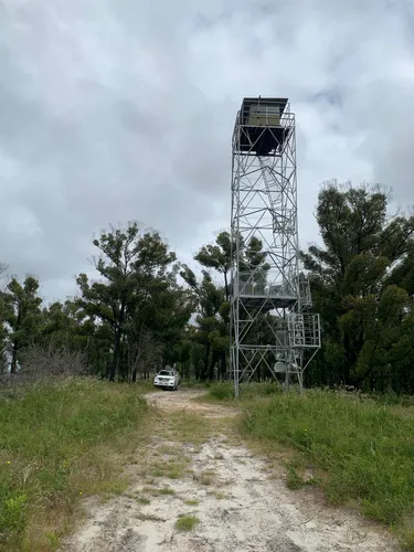 Best Hikes and Trails in Holey Plains State Park | AllTrails