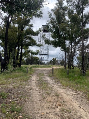 2023 Best 10 Off Road Driving Trails in Victoria | AllTrails