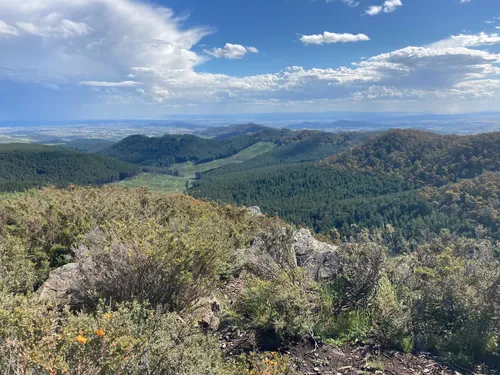 10 Best Hikes and Trails in Mount Canobolas State Conservation Area ...