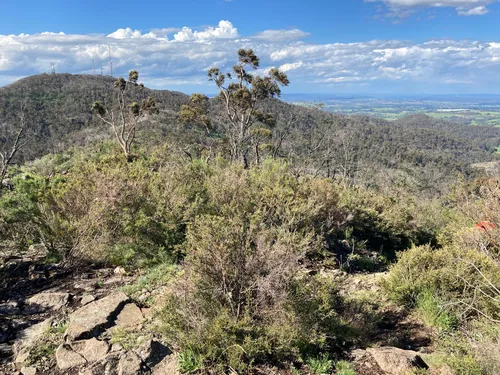 10 Best Walking Trails in Mount Canobolas State Conservation Area ...