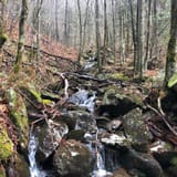 Silers Bald and Forney Creek Loop Trail, North Carolina - 79 Reviews ...