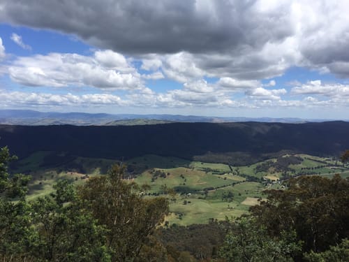 Best Hikes and Trails in Mount Granya State Park | AllTrails