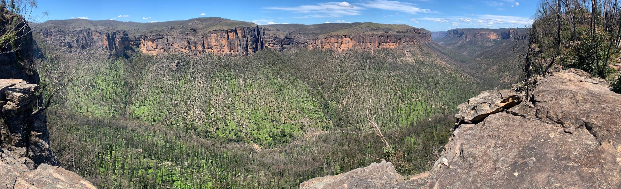 Asgard Swamp Track, New South Wales, Australia - 119 Reviews, Map ...