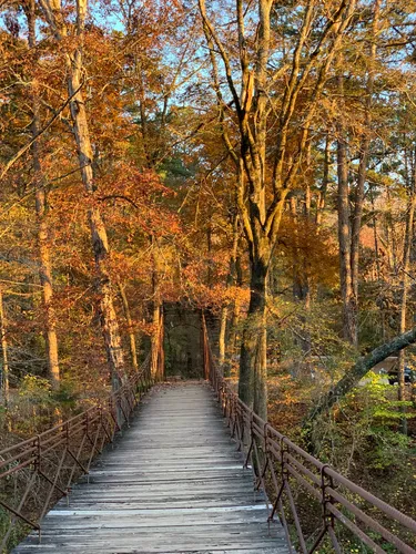 10 Best Forest Trails in Mississippi | AllTrails