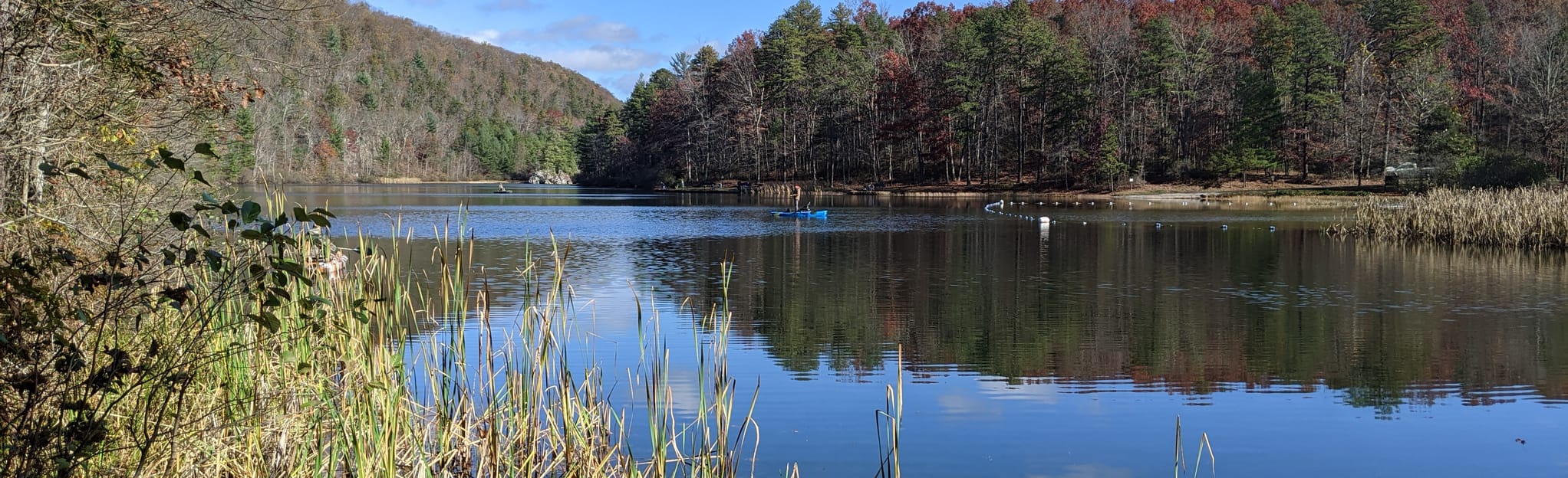 Trout Pond Loop West Virginia 151 Reviews Map Alltrails