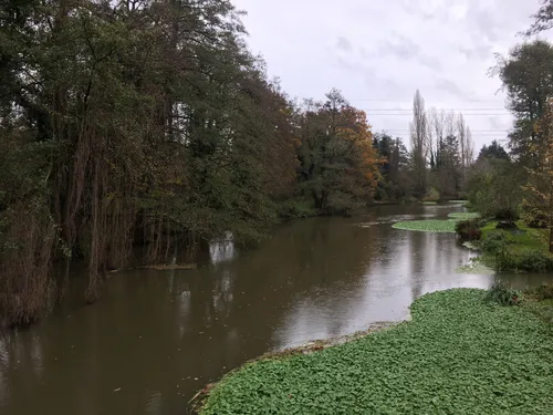 Best River Trails in West Byfleet | AllTrails