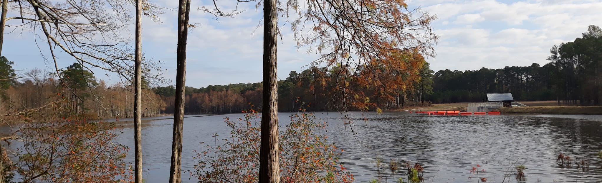 Cypress Point Loop Trail via Rockefeller Trail: 422 Reviews, Map ...