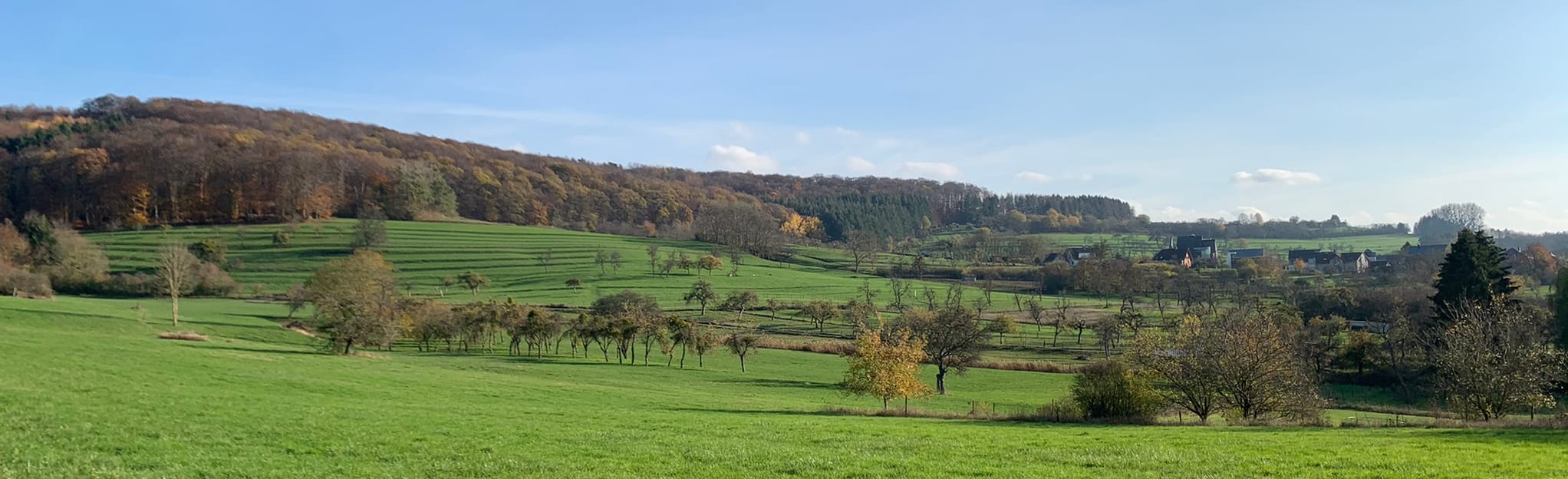 Mensdorf Rundwanderung: 239 Fotos - Grevenmacher, Luxemburg | AllTrails