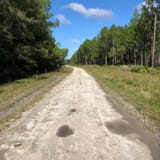 Green Swamp Wilderness Preserve Loop, Florida - 58 Reviews, Map | AllTrails