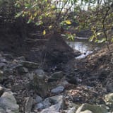 Linear Trail, Kansas - 194 Reviews, Map | AllTrails