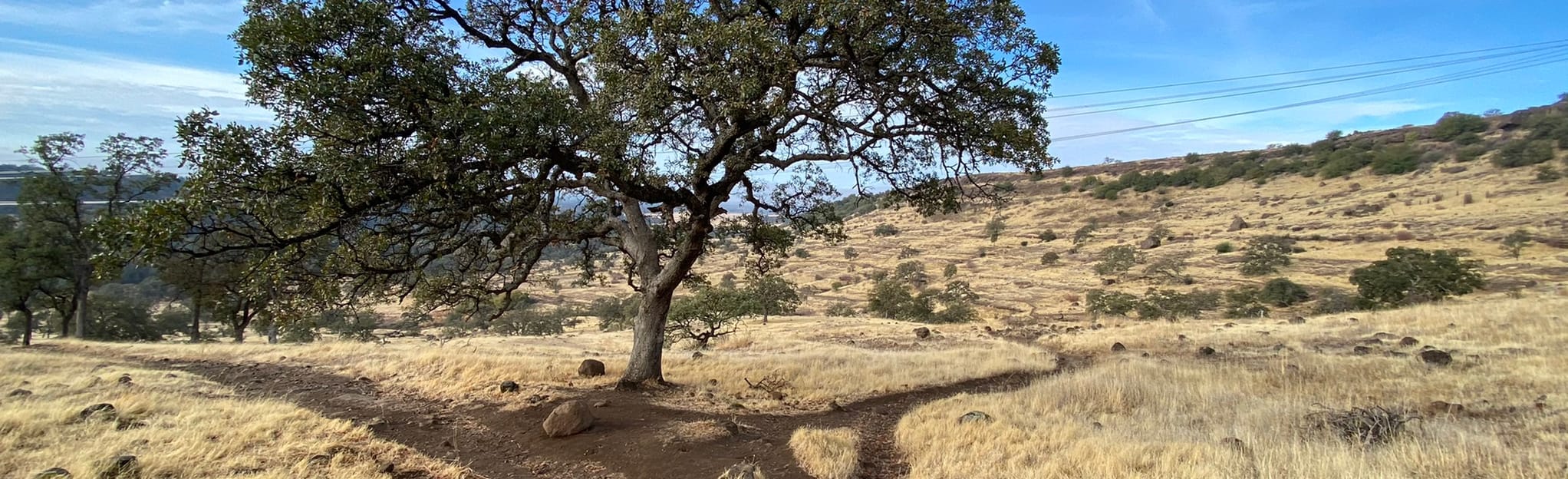 Upper Upper and Maidu Loop, California - 46 Reviews, Map | AllTrails