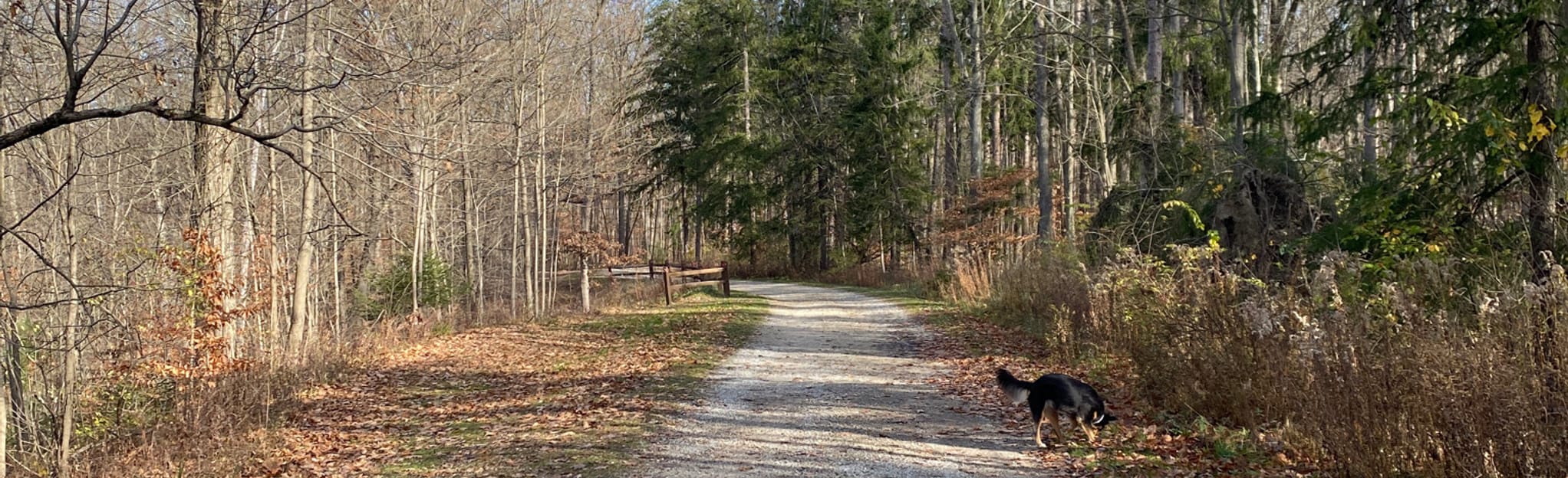 Buckeye Trail: Brecksville Stables to Bridle Trail: 280 Reviews, Map ...