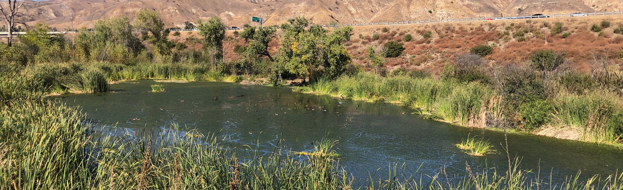 Tujunga Ponds Loop: 33 Reviews, Map - California | AllTrails