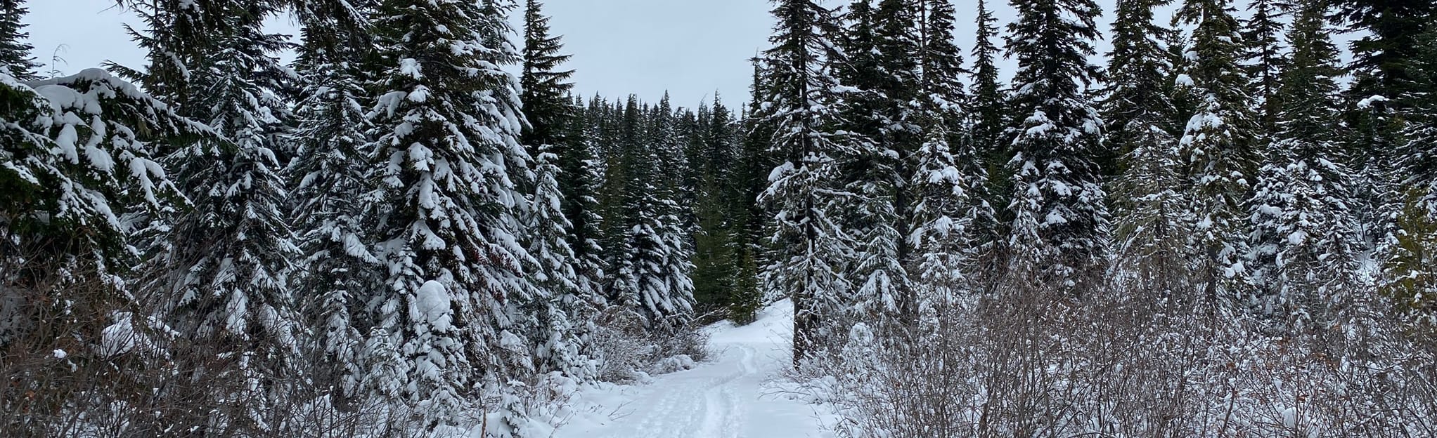 AllTrails | Leech Lake Loop: 131 Reviews, Map - Washington