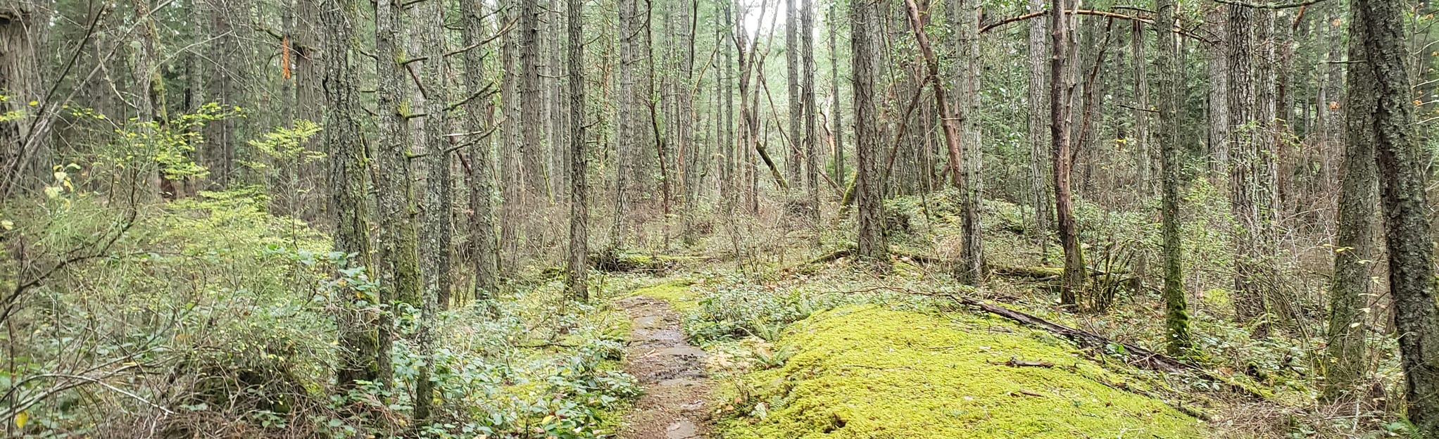 Yellow Point Trail Loop: 35 foto's - Brits-Columbia, Canada | AllTrails