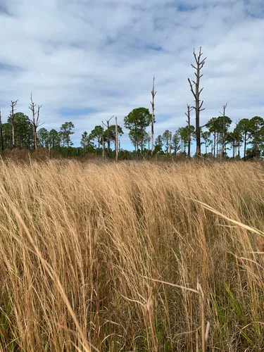 Best Hikes and Trails in Duette Preserve | AllTrails