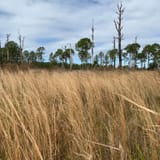 Duette Preserve South Loop, Florida - 6 Reviews, Map | AllTrails