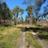 Duette Preserve South Loop, Florida - 6 Reviews, Map | AllTrails