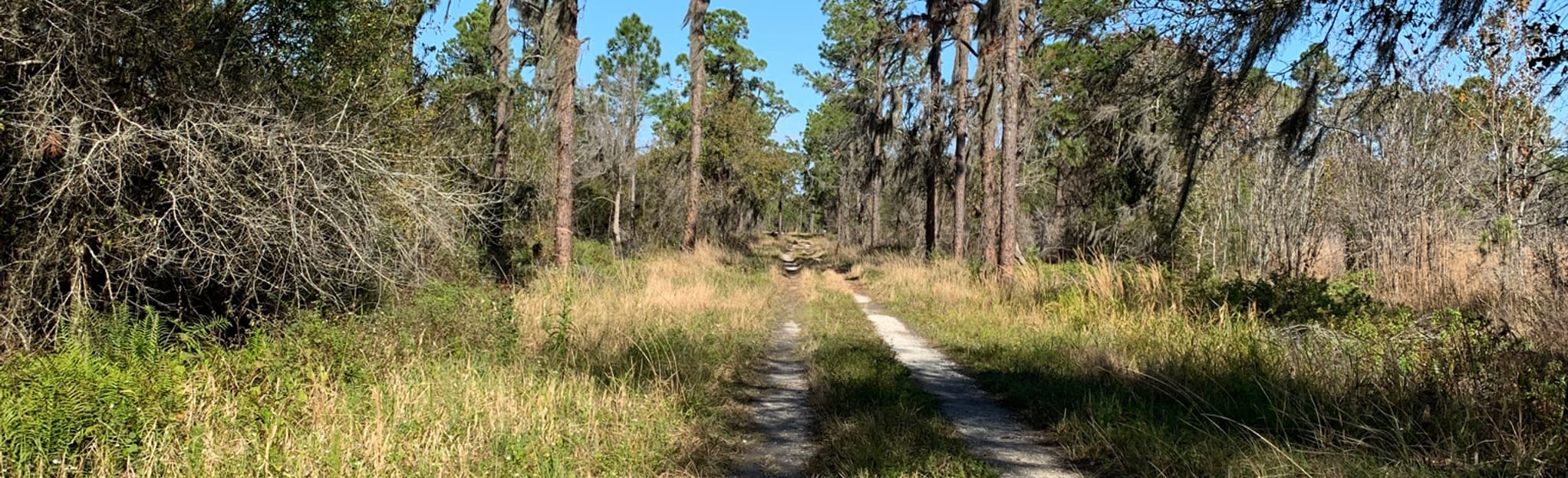 Duette Preserve South Loop: 6 Reviews, Map - Florida | AllTrails