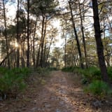 Duette Preserve South Loop, Florida - 6 Reviews, Map | AllTrails
